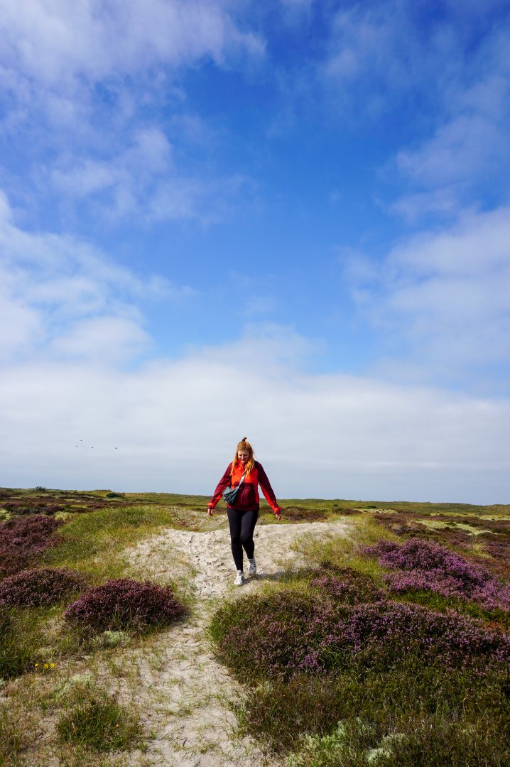Exploring Hiddensee: Beaches, Heathlands, and Cliff Coasts at the ...