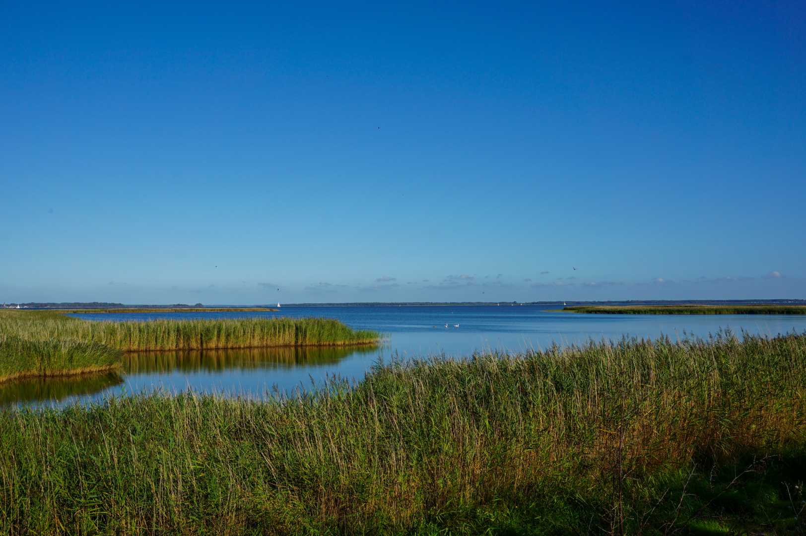 Exploring Hiddensee: Beaches, Heathlands, and Cliff Coasts at the ...